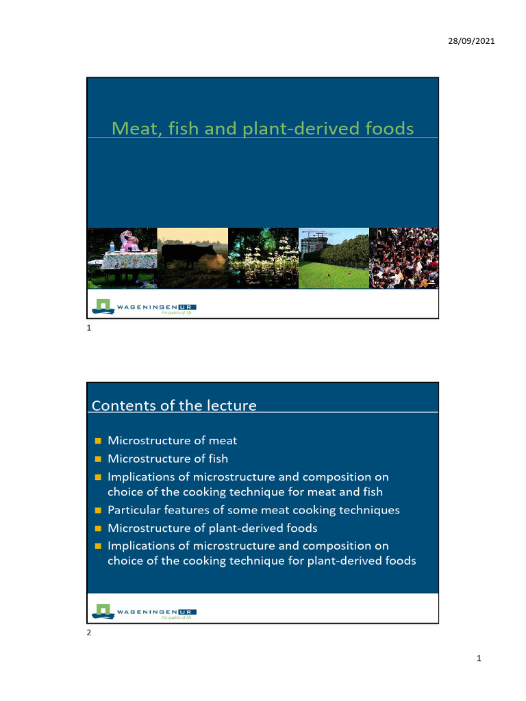 Meat Fish Plant Derived Foods | PDF | Cooking | Meat