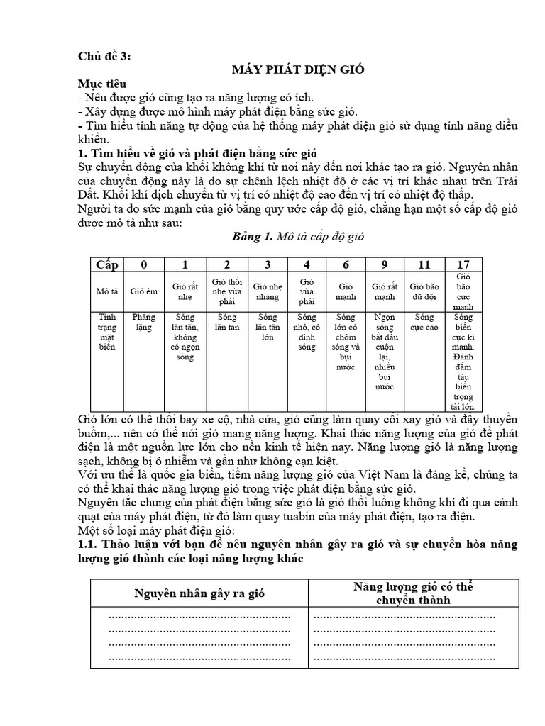 Hoat Dong Stem l4 21720217 | PDF