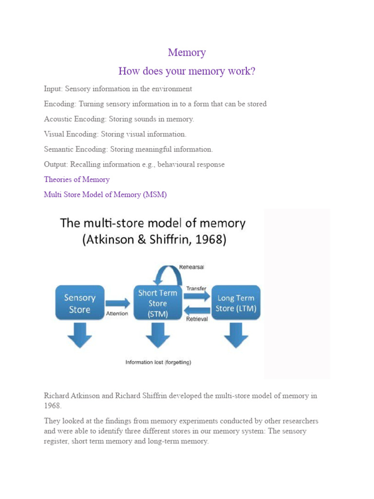 Cognitive Psychology - Memory Short Note | PDF | Memory | Long Term Memory
