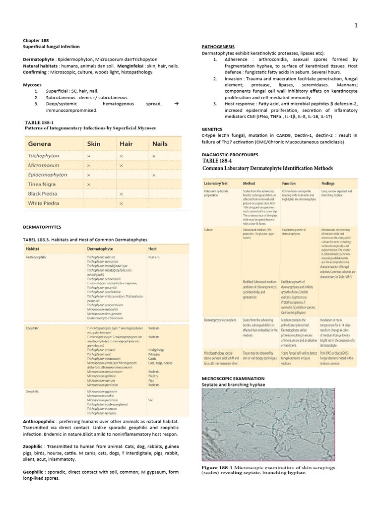 Chapter 188, 189 Fungal Infection, Candida | PDF | Candidiasis ...