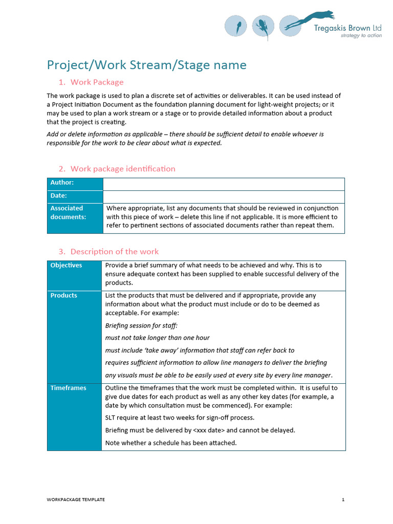 Work Package Template May 2020 | PDF | Business