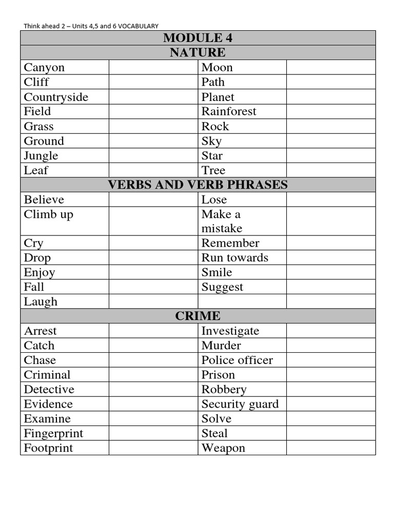 Think Ahead 2 Adrian Soto 4, 5 y 6 | PDF