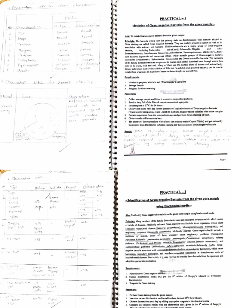 Sy Micro Sem-3 Practical | PDF