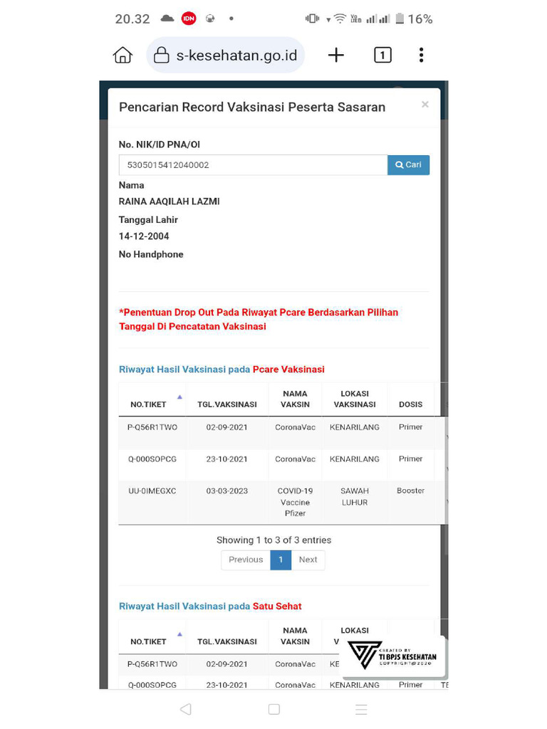 Web Kemenkes Raina | PDF