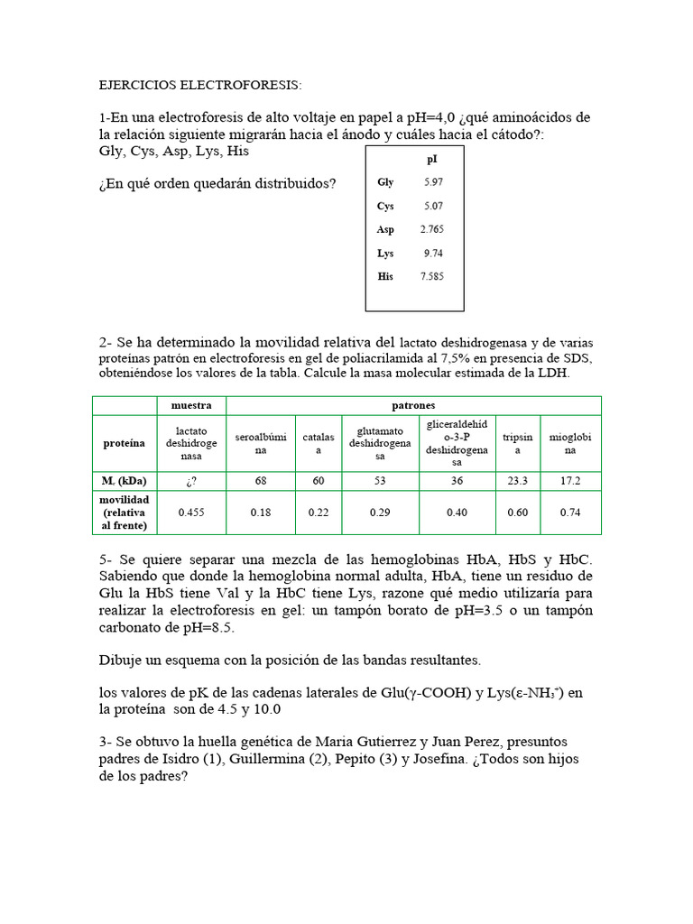 Ejercicios Electroforesis22 | Descargar gratis PDF | Perfiles de ADN | Electroforesis