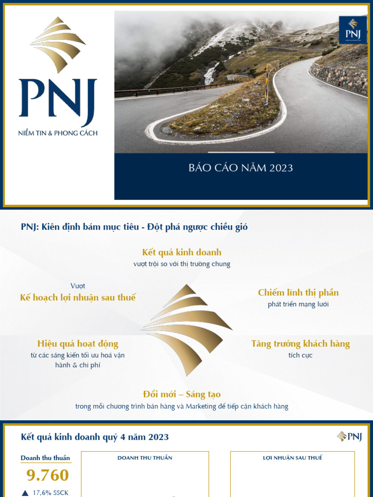 PNJ Dec Report Vie | PDF