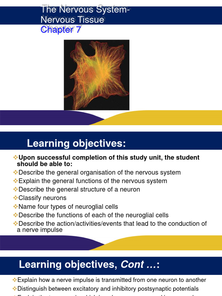 UNIT 7 Nervous System Sept 2023 | PDF | Chemical Synapse | Nervous System