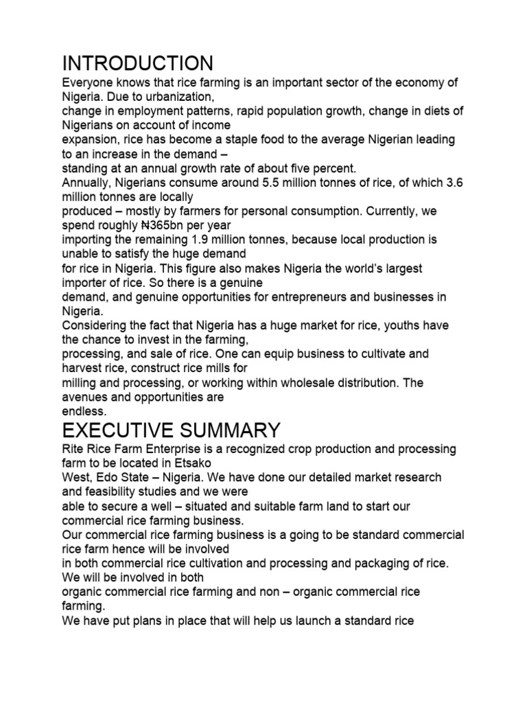 1 Business Plan Rice For Kwairo and Sons Farms | PDF | Agriculture | Rice
