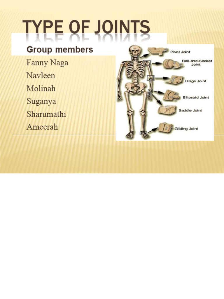 Joints | Download Free PDF | Anatomical Terms Of Motion | Joint