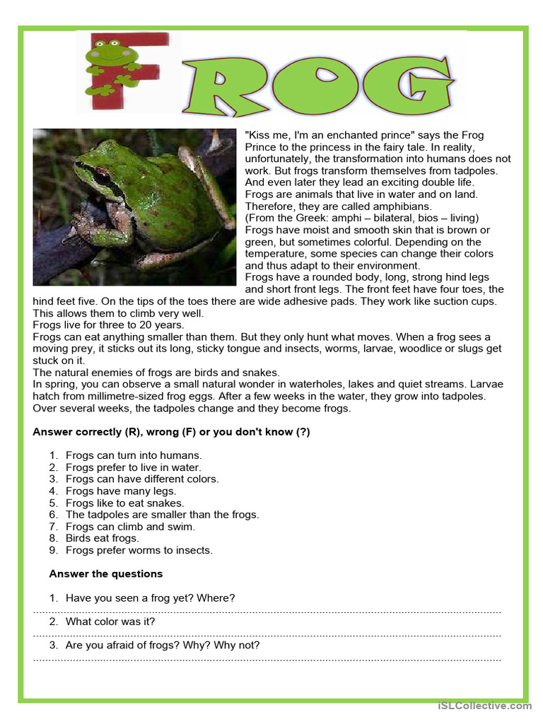 Easy Reading - Frog | PDF | Frog | Amphibious Organisms