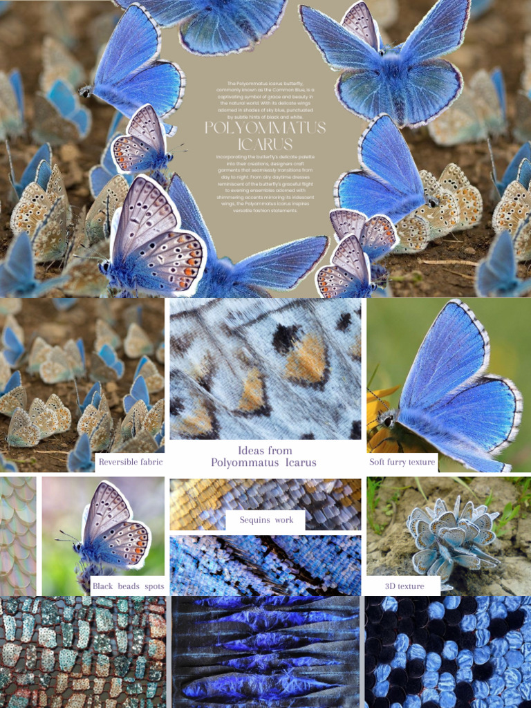 DS Inspiration and Mood Board | PDF | Human Appearance | Style