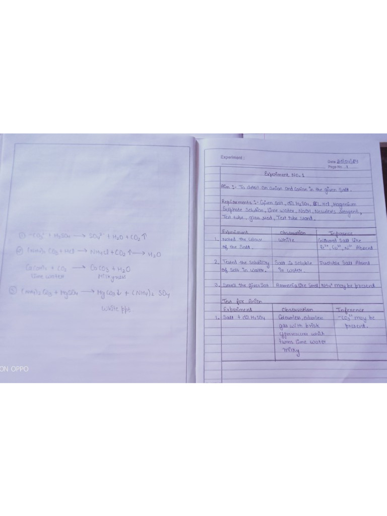 Chemistry Experiment No 1 Pdf