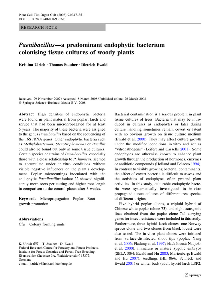 Paenibacillus-A Predominant Endophytic Bacterium | PDF | Bacteria | Root