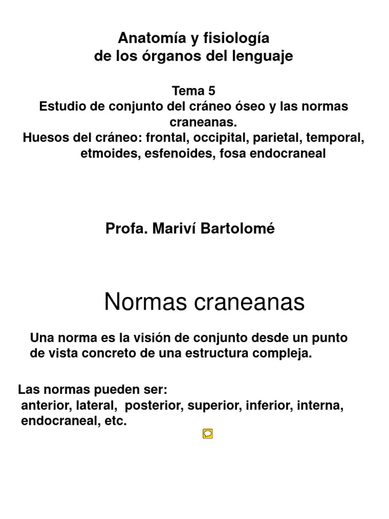 Anatomía del Cráneo y Huesos Faciales | PDF | Cráneo | Sistema ...