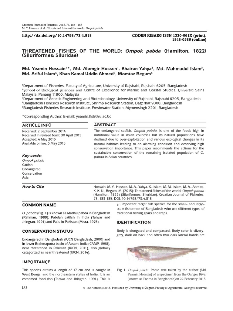 Endangered Catfish Ompok pabda Conservation | PDF | Bangladesh | Fish