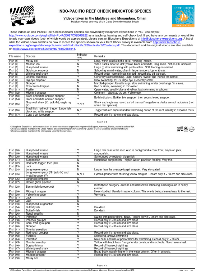 Indo-Pacific Reef Check Categories | PDF | Fish