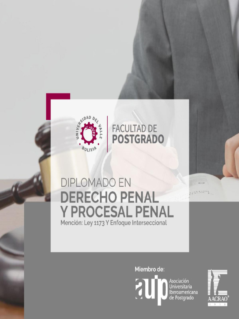 Derecho Penal y Procesal Penal v1 | PDF | Derecho penal | Ley procesal