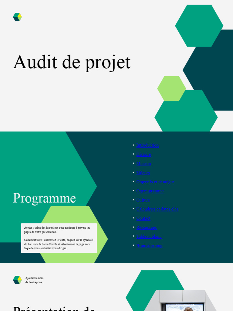 Audit de Projet et Présentation d'Entreprise | PDF | Finance et gestion ...