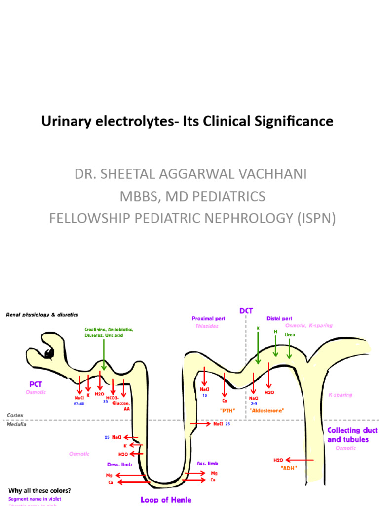 Urinary Electrolytes New | PDF | Potassium | Chemistry