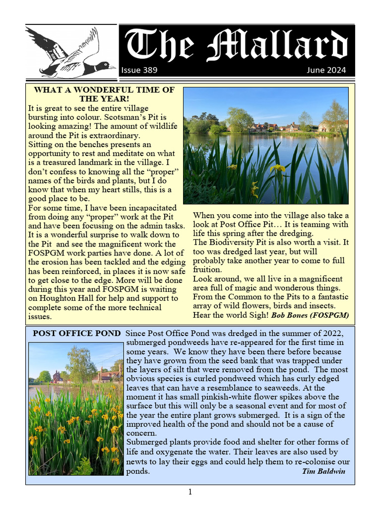 "THE MALLARD" June 2024 | Download Free PDF | Eucharist | Weed