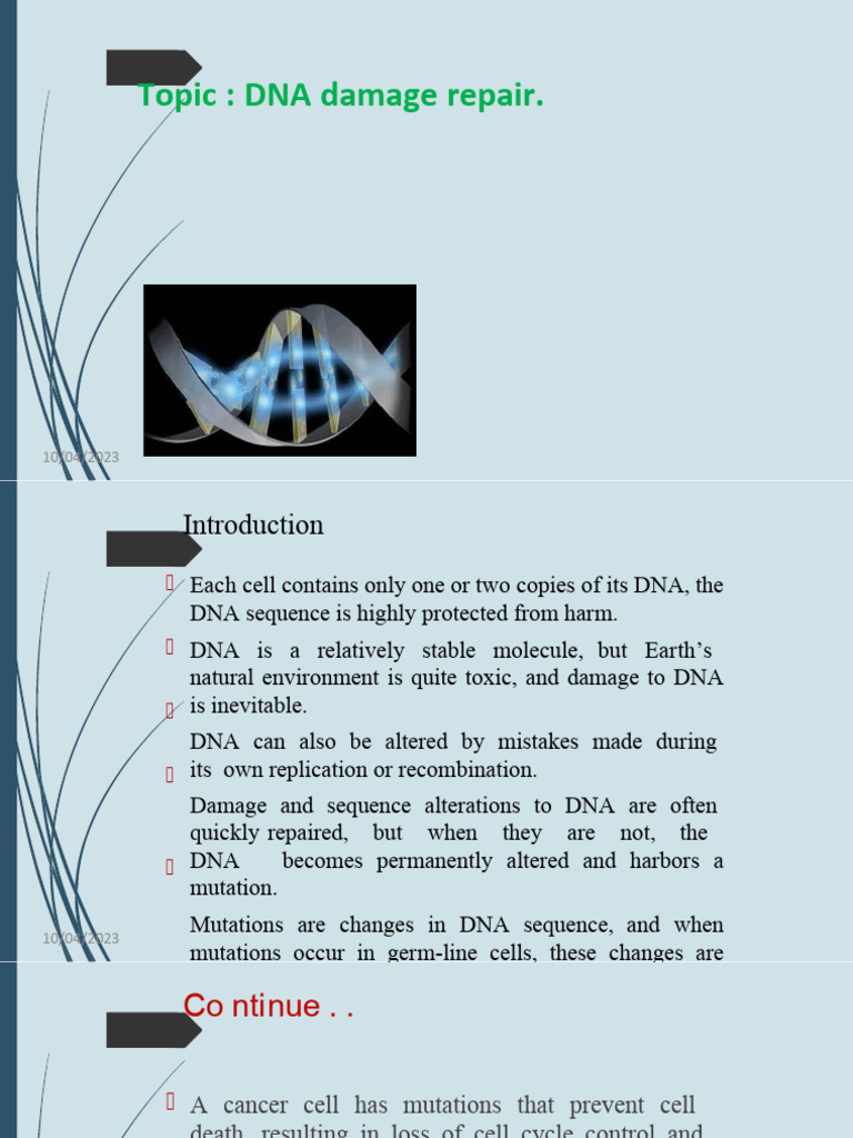 Mutation | PDF | Point Mutation | Genetic Code