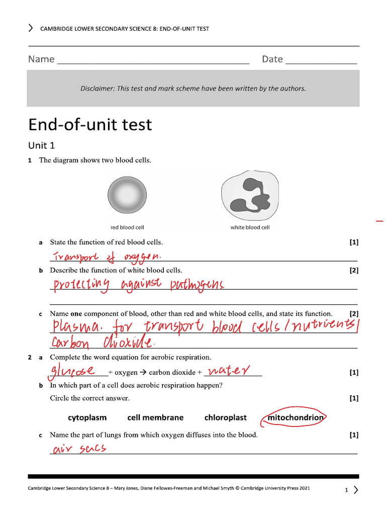 B1 Revision Unit 1 | PDF