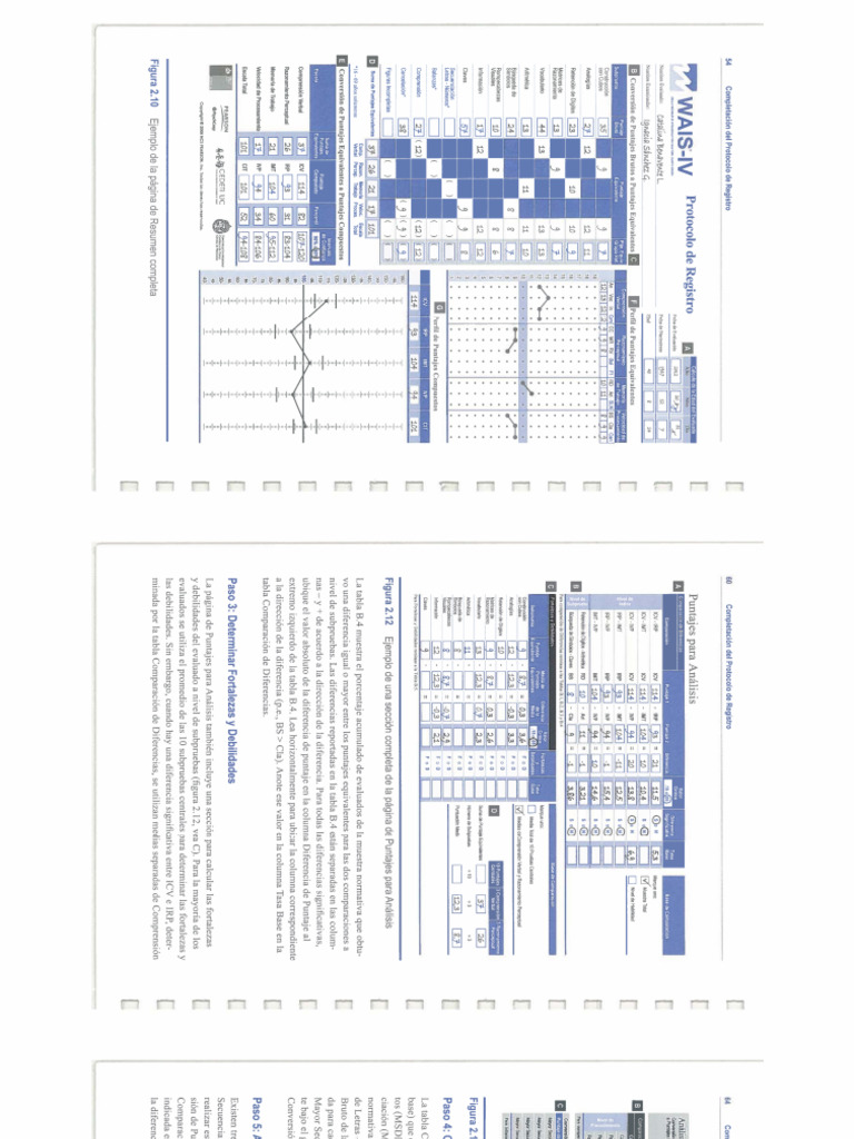 Ejemplos WAIS IV | PDF