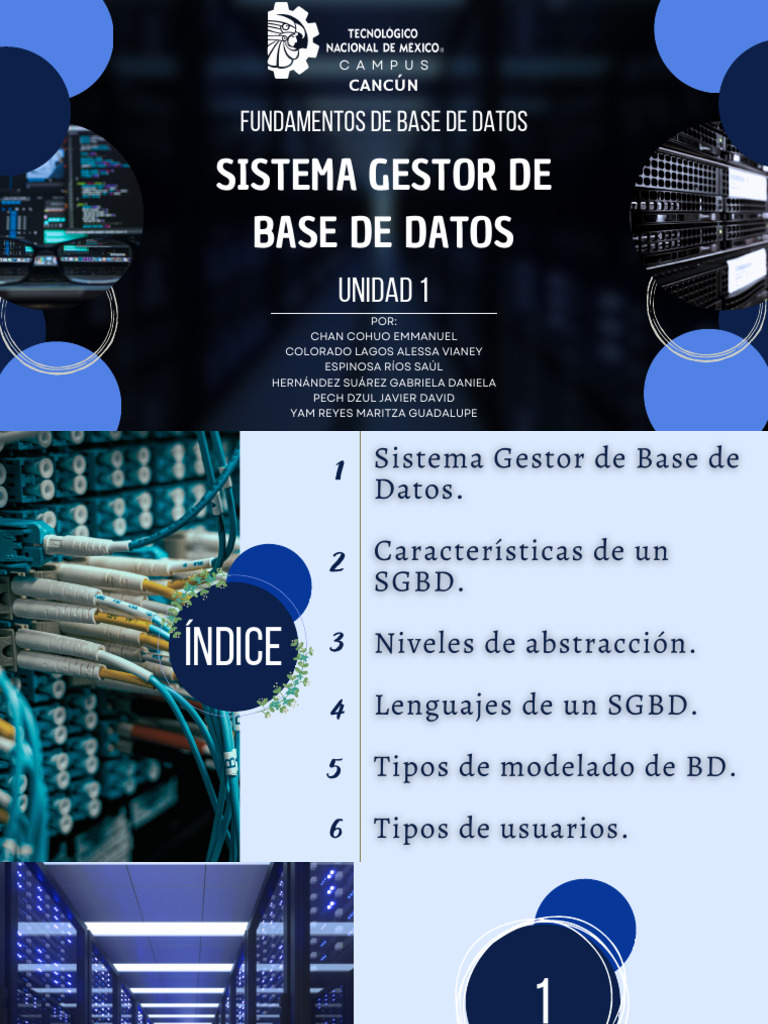 A1.1 Mat. de Apoyo. Sistema Gestor de Base de Datos | PDF | Bases de datos | Base de datos ...