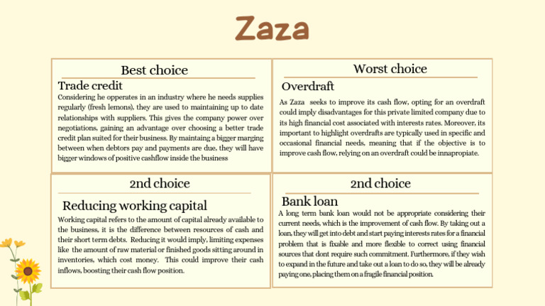 Zaza | PDF | Debt | Finance & Money Management