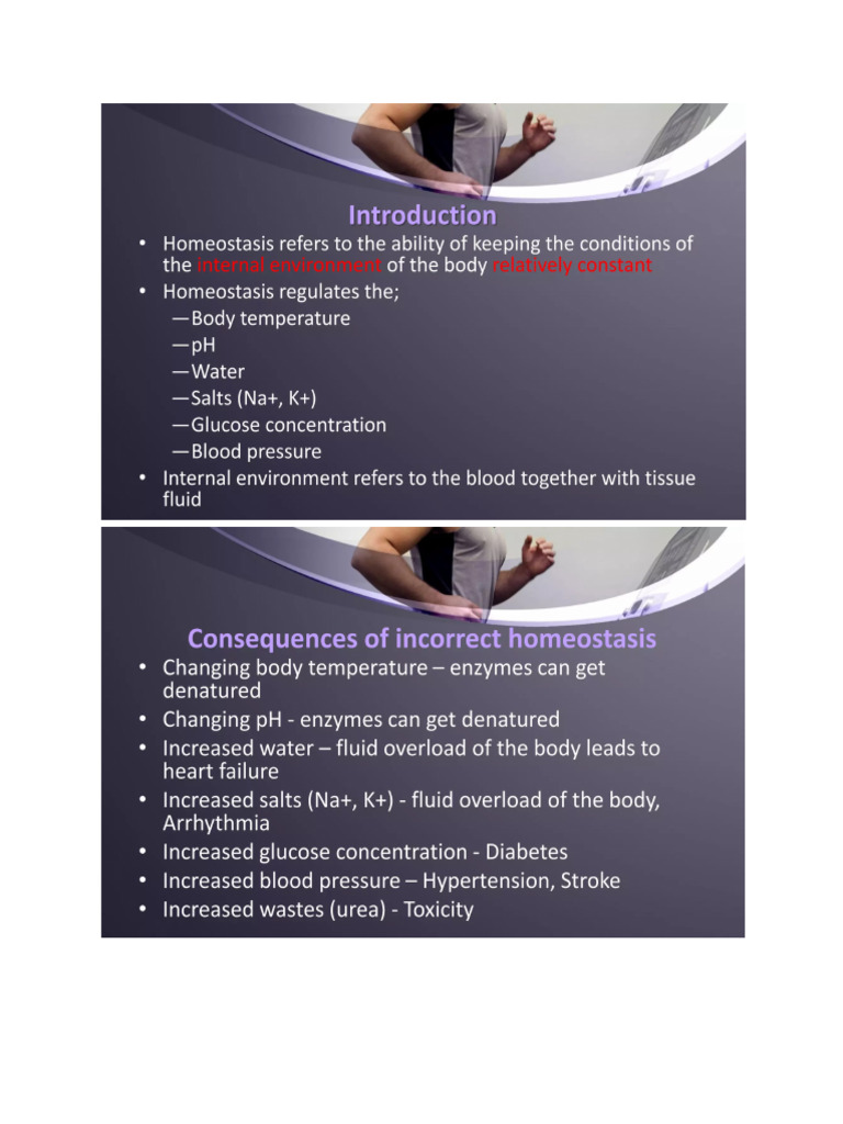 Bio Chap 8 - Homeostasis and Excretion | PDF