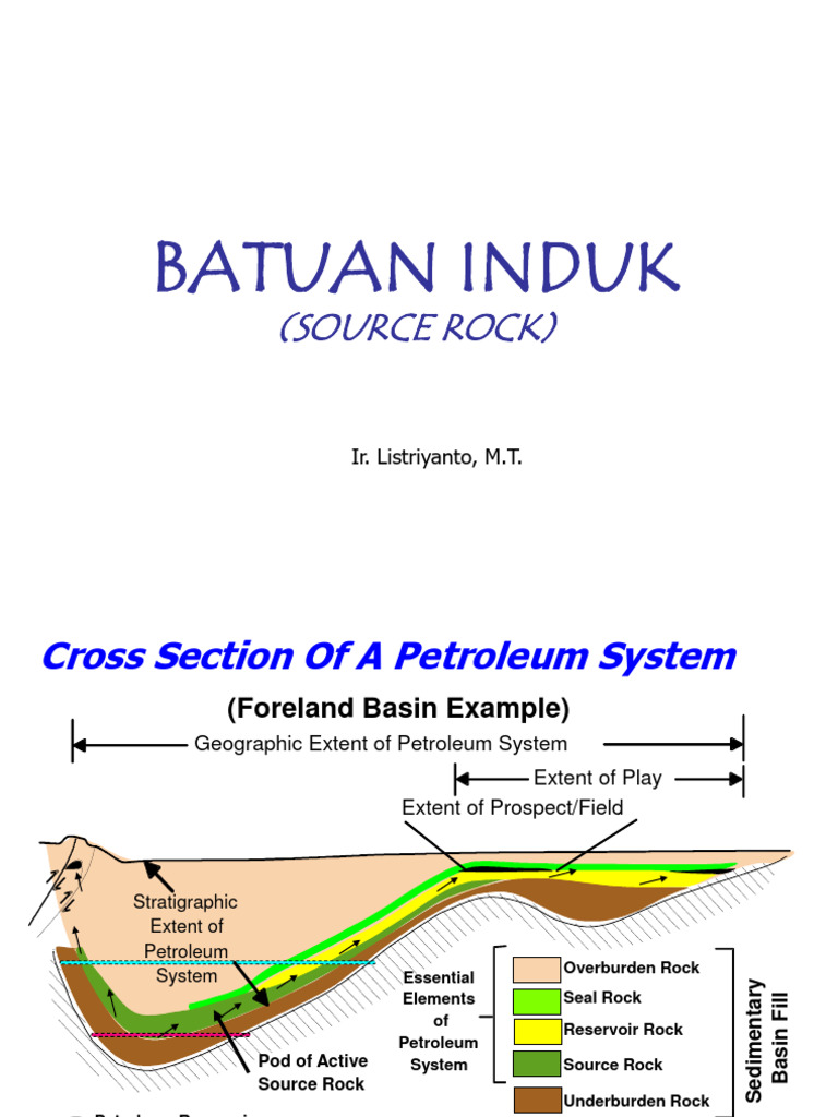 Definisi dan Tipe Batuan Induk | PDF