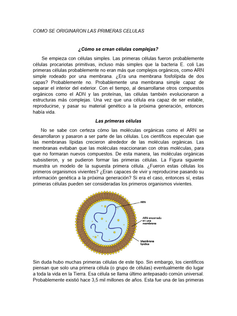 Como Se Originaron Las Primeras Celulas | PDF | Evolución | Biología ...