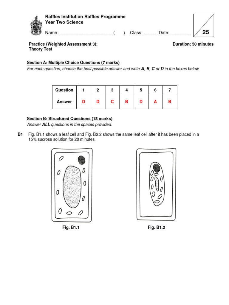 2023 WA3 Practice - ANS | Download Free PDF | Enzyme | Cell Membrane