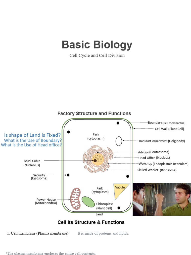 Basic Biology | PDF | Cell (Biology) | Endoplasmic Reticulum