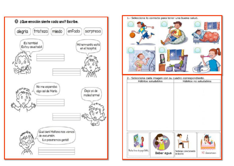 Emociones y Salud | PDF