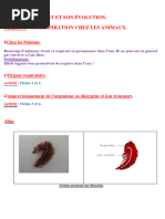 Structure des branchies des poissons | PDF | Branchie | Système ...