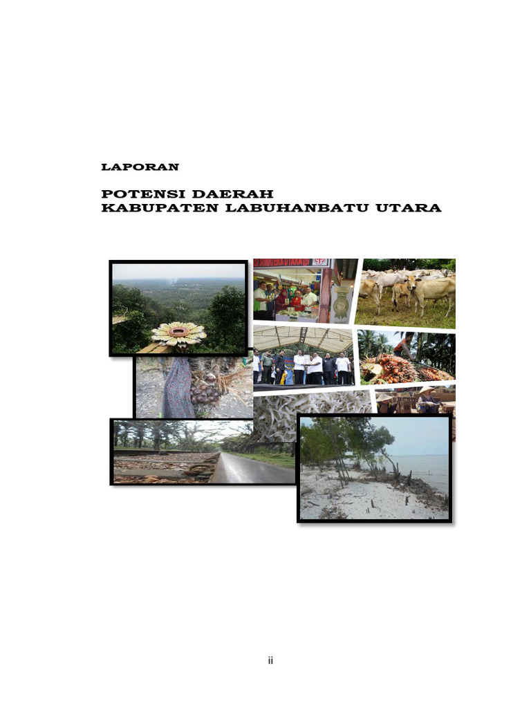 (Labura) Potensi Daerah | PDF