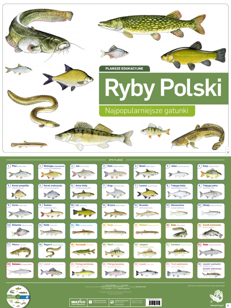 Ryby Polski | PDF