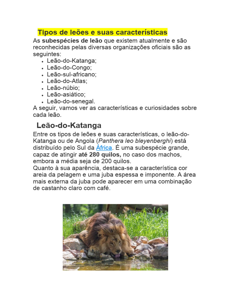 Tipos de Leões e Suas Características | PDF | Leão | Felidae