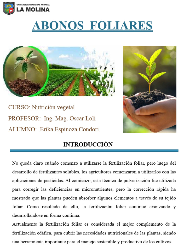 Abonos Foliares en Nutrición Vegetal | PDF | Pasto | Hoja