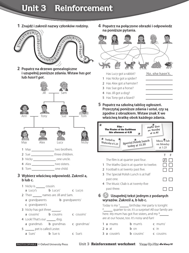 Unit 3 Reinforcement and Extension | PDF