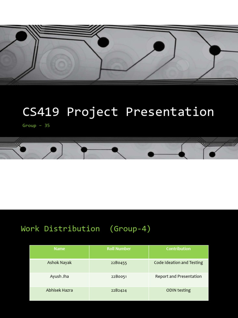 CS419 Project Presentation: Group - 35 | PDF | Mathematical Optimization | Algorithms