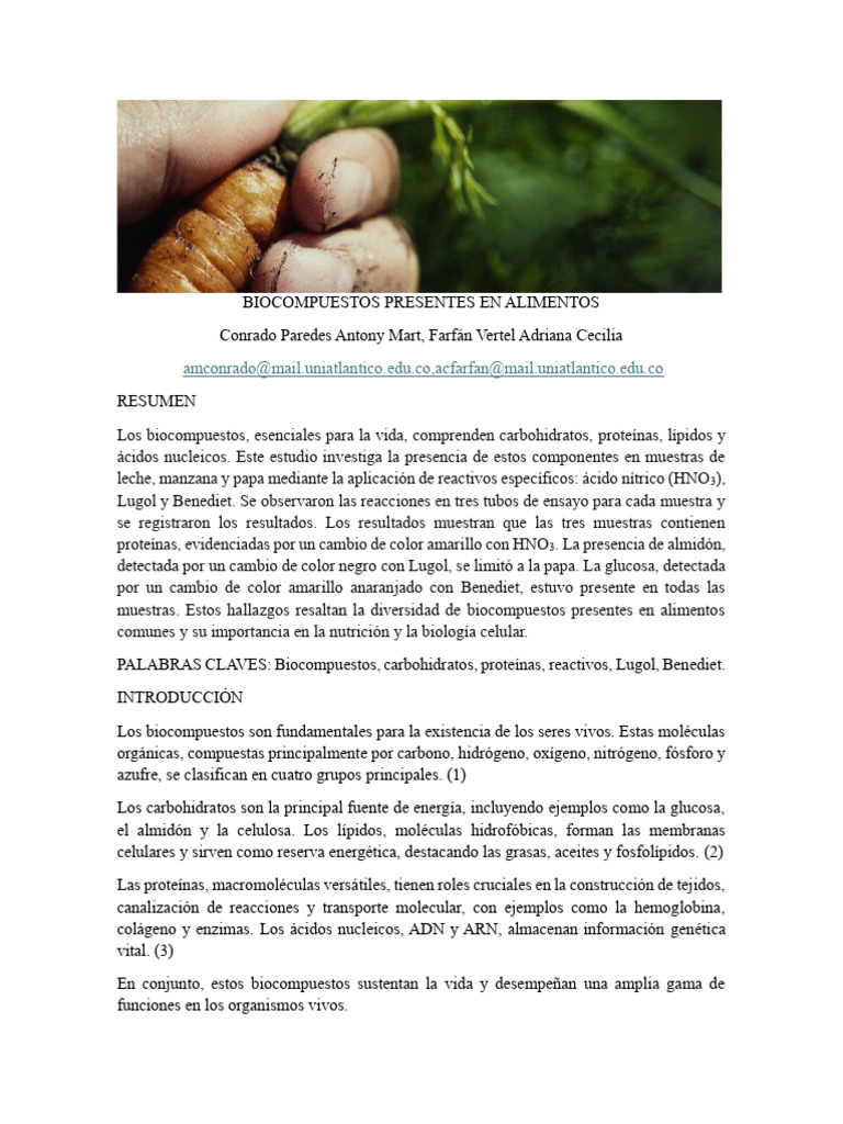 Biocompuestos en Alimentos | PDF | Biomoléculas | Lípido