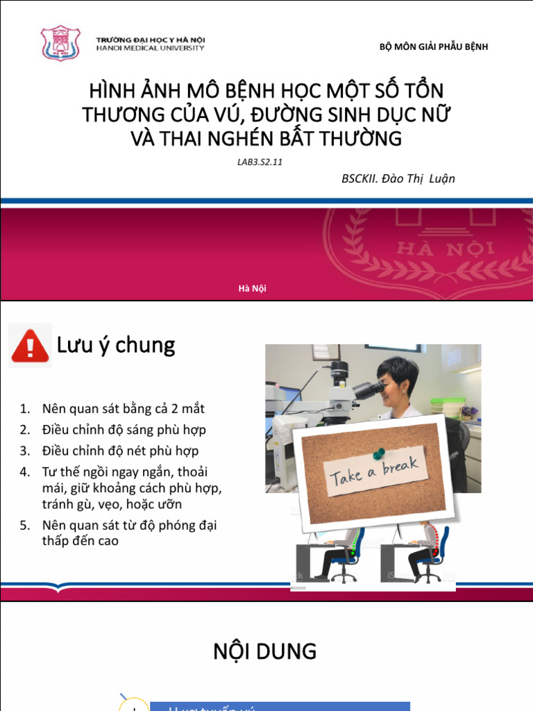 Slide Bài Học GPB | PDF