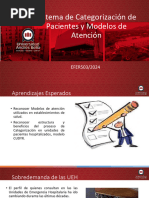 Categorización CUDYR: Riesgo y Dependencia | PDF | Enfermería | Hospital