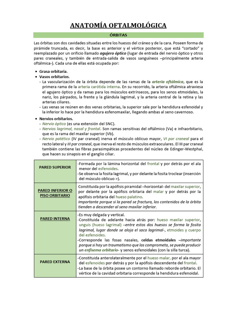 Anatomía Oftalmológica | Descargar gratis PDF | Ojo humano | Rasgos faciales