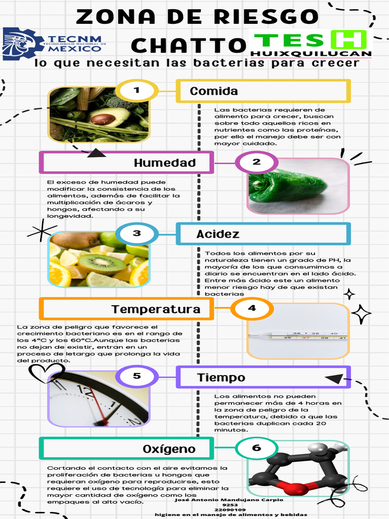 Infografía Chatto | Descargar gratis PDF | Alimentos | Las bacterias