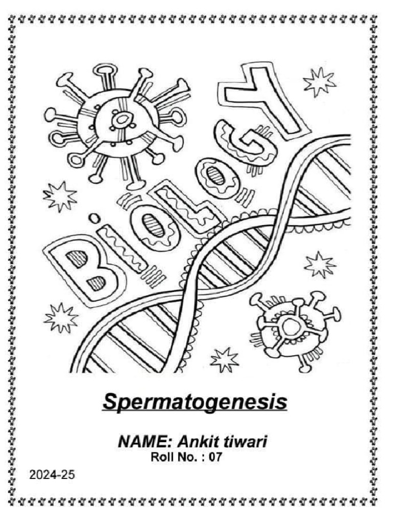 Physics Conductor | PDF