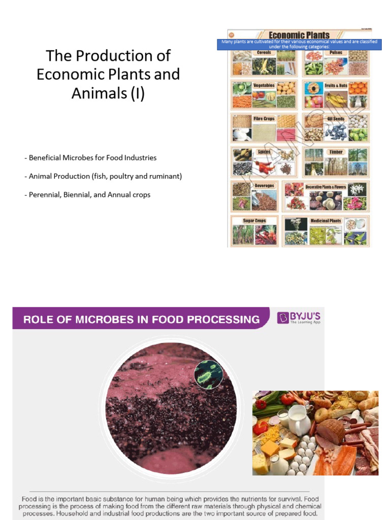 UMK Chapter 6 Part 1 Sem 2 | PDF | Agriculture | Foods