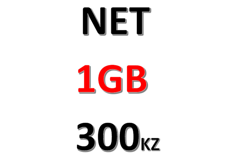 1GB | PDF